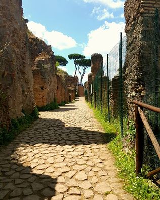 Title: Ancient Pathways – Savory Sweet Neat